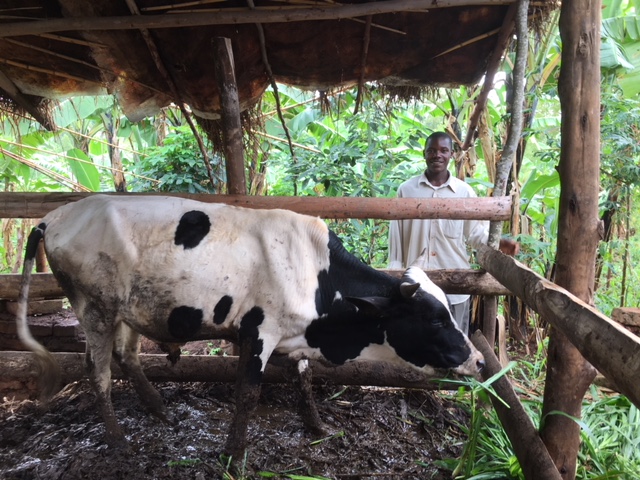 Growing a Chicken into a Cow in Burundi… – SIMON GUILLEBAUD